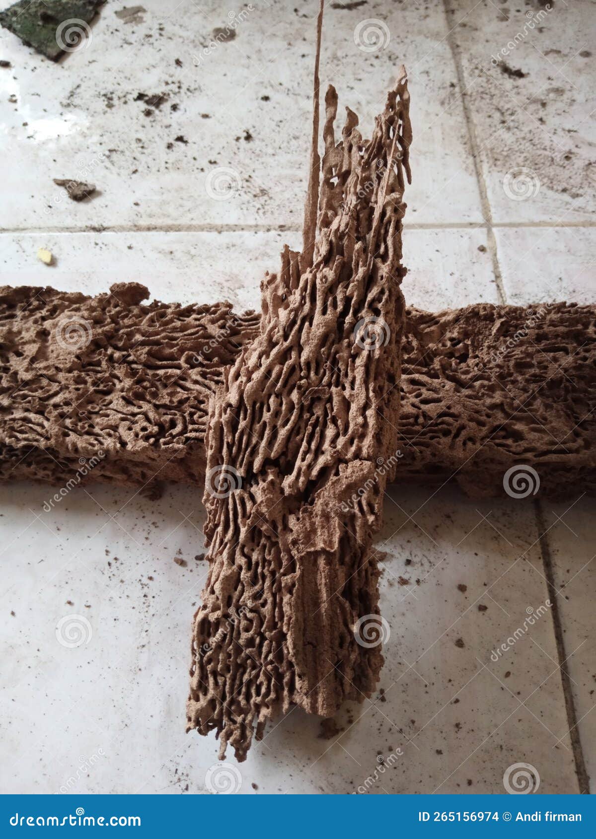 Wood Eaten by Termites until it Runs Out and Crumbles Stock Photo ...