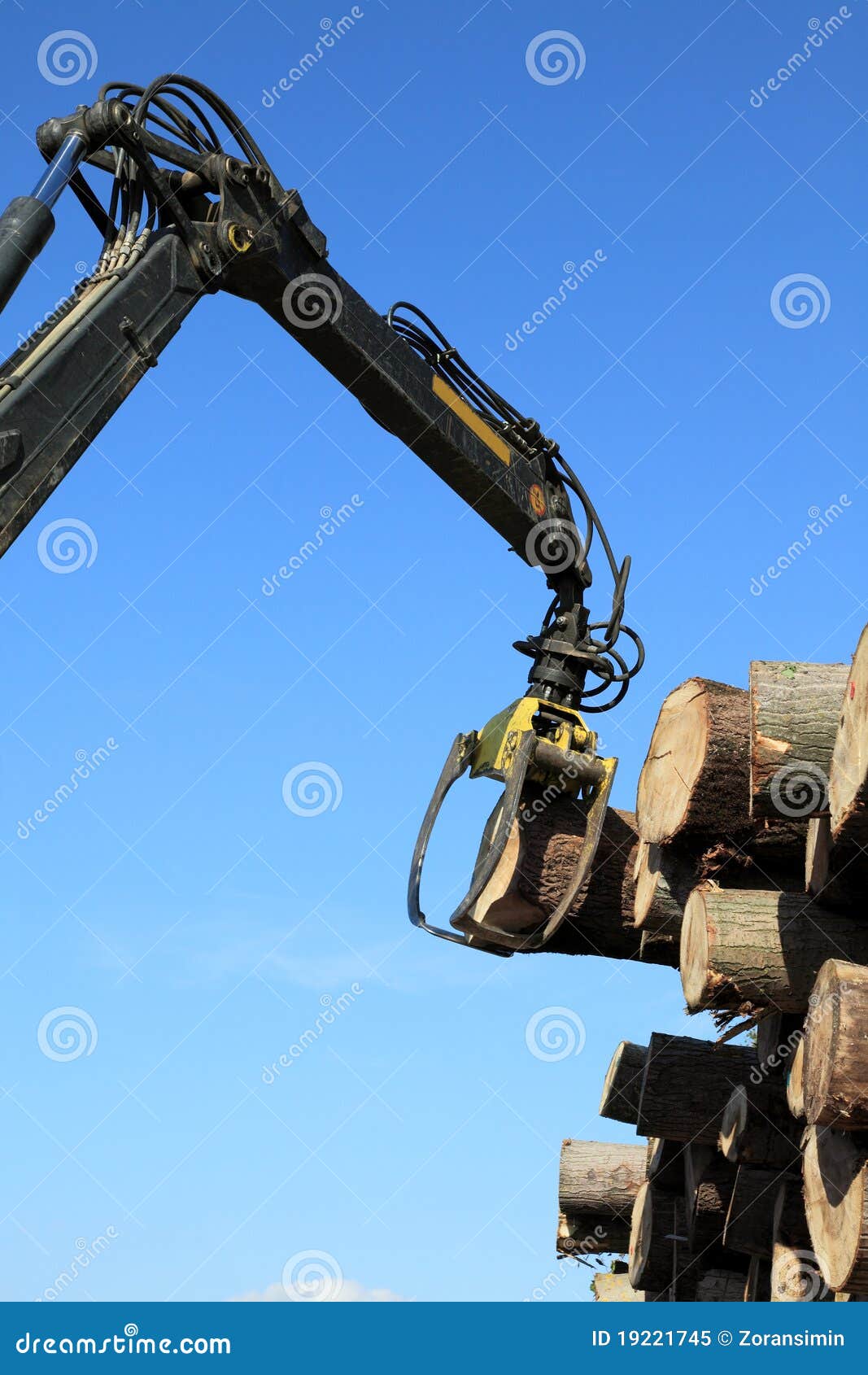 Wood exploitation stock image. Image of rainforest, forestry - 19221745