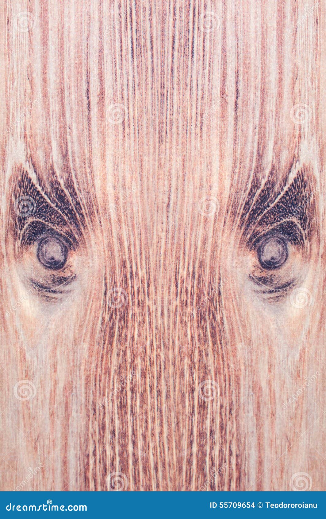 Wood face stock photo. Image of history, hickory, build - 55709654