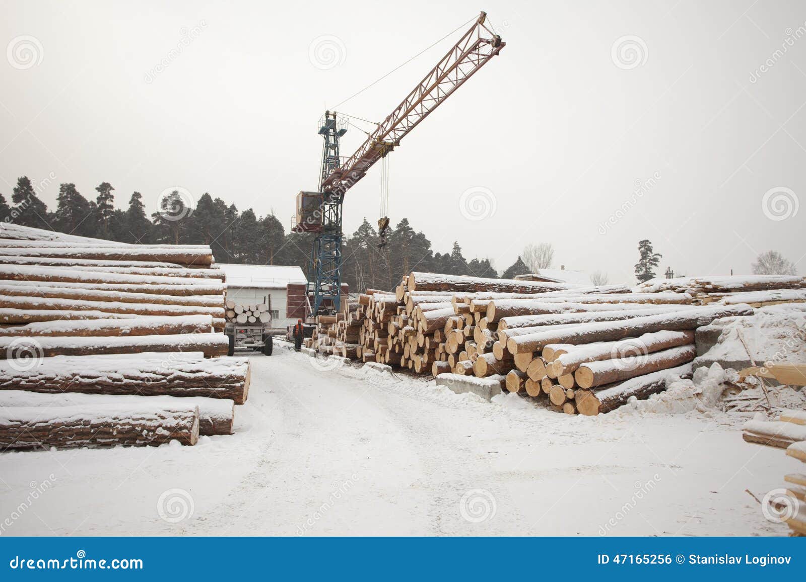 Wood factory editorial photo. Image of conveyor, heap - 47165256