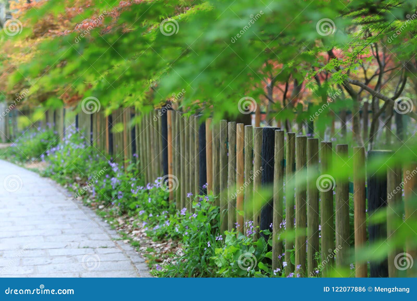 Fence in the spring Fall stock photo. Image of change - 122077886