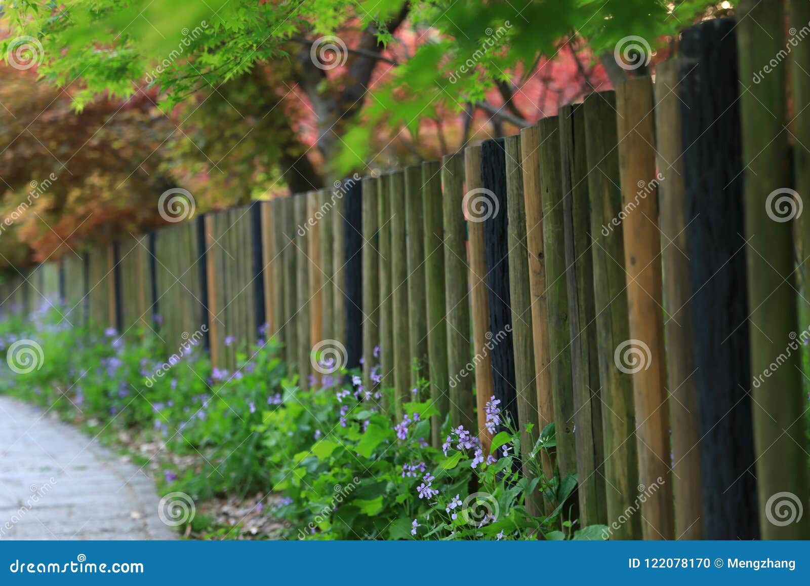 Fence in the spring Fall stock photo. Image of foliage - 122078170