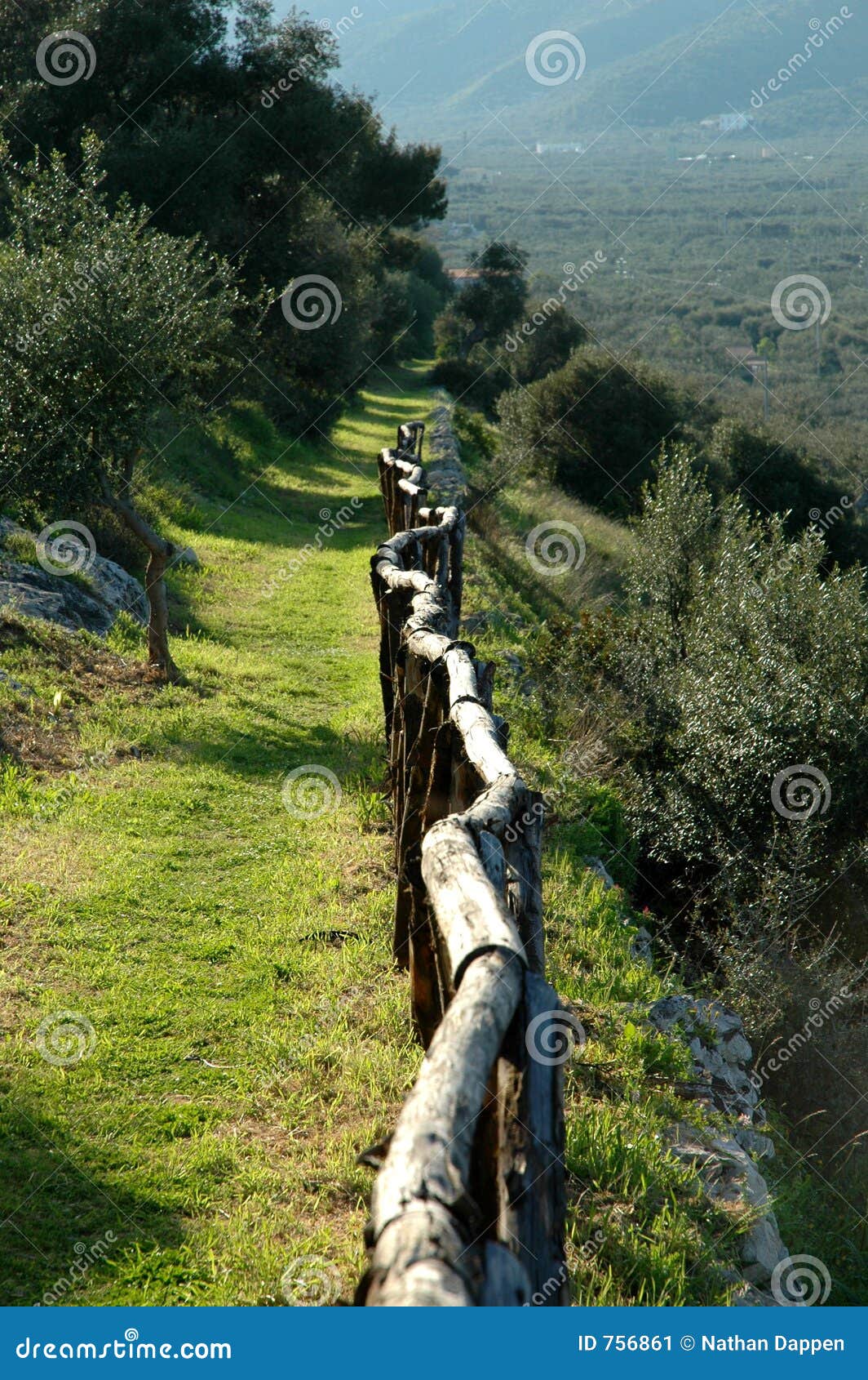 Wood fence in italy stock image. Image of sardinia, luxuriant - 756861