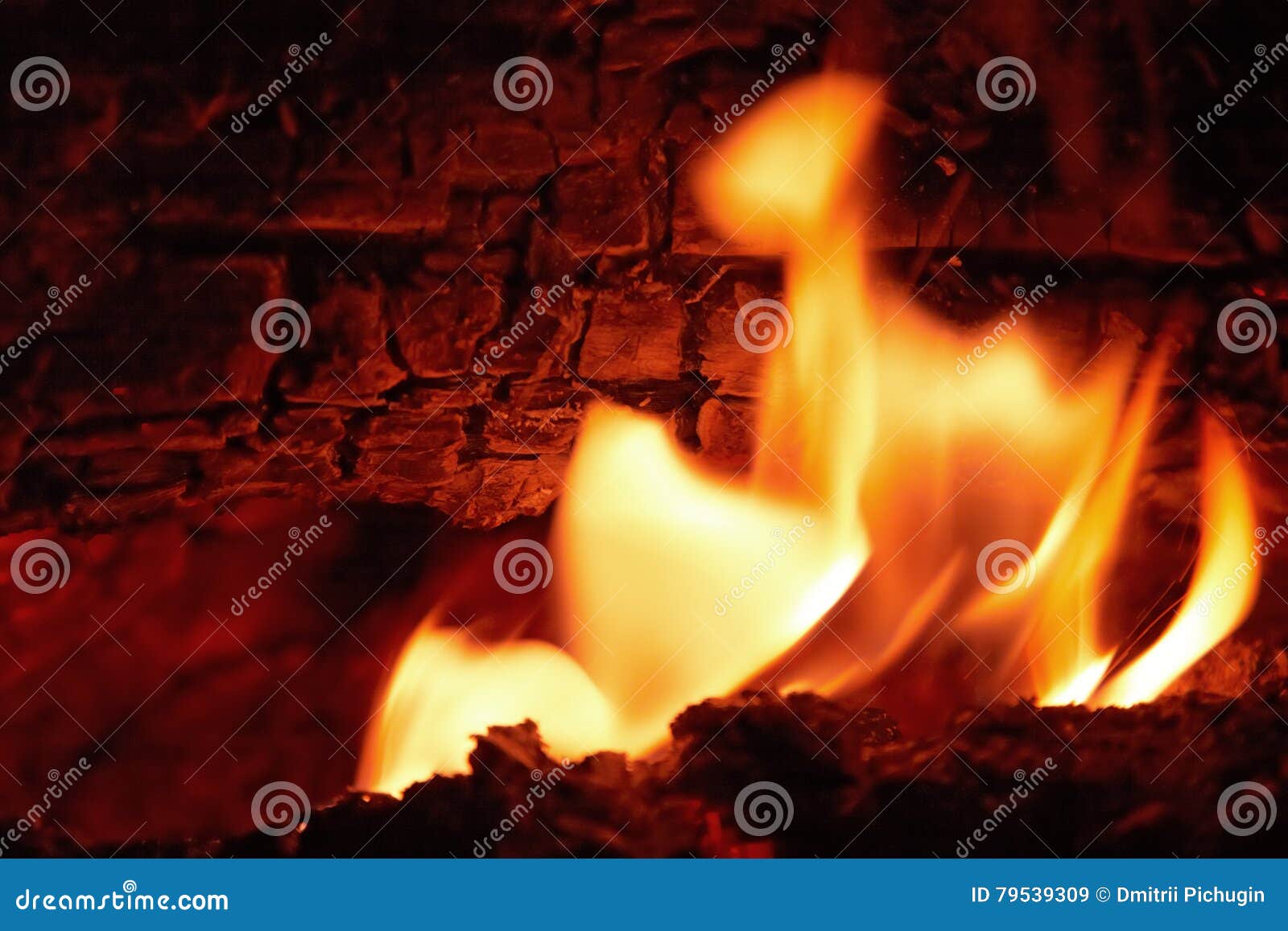 Wood fire stock image. Image of camping, burning, night - 79539309