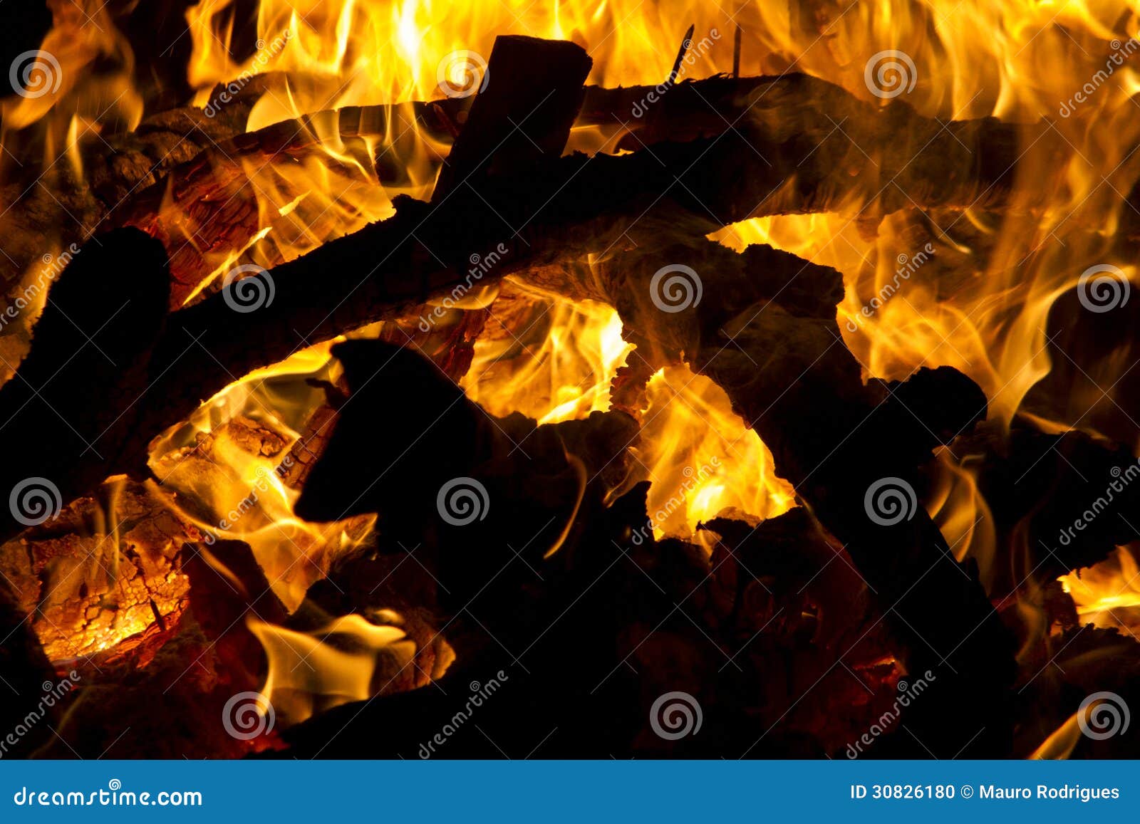 Wood fire stock photo. Image of wild, burn, fire, hell - 30826180