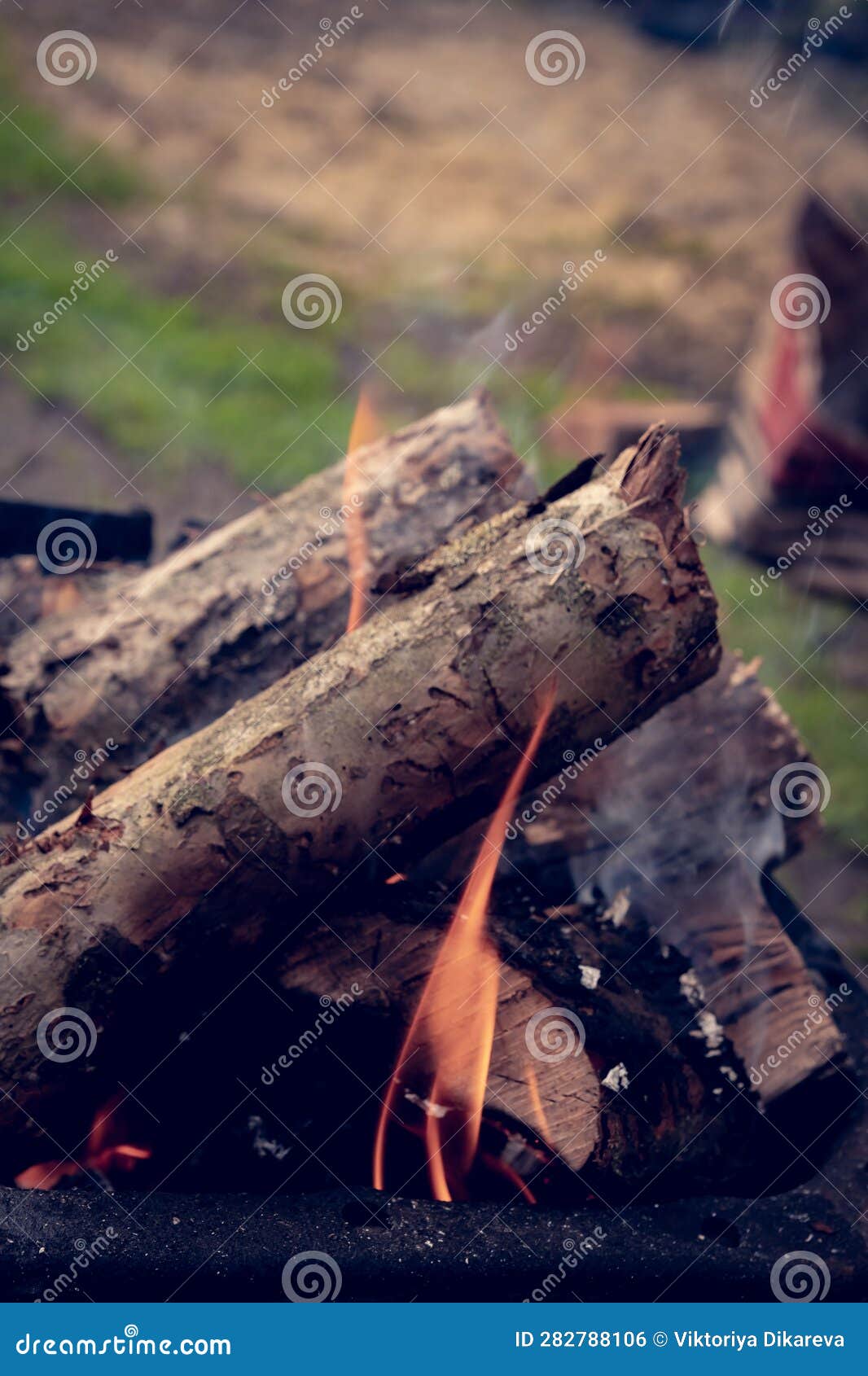 A Wood-fired Fruit Tree Grill with a Bright Hot Flame. Stock Photo ...