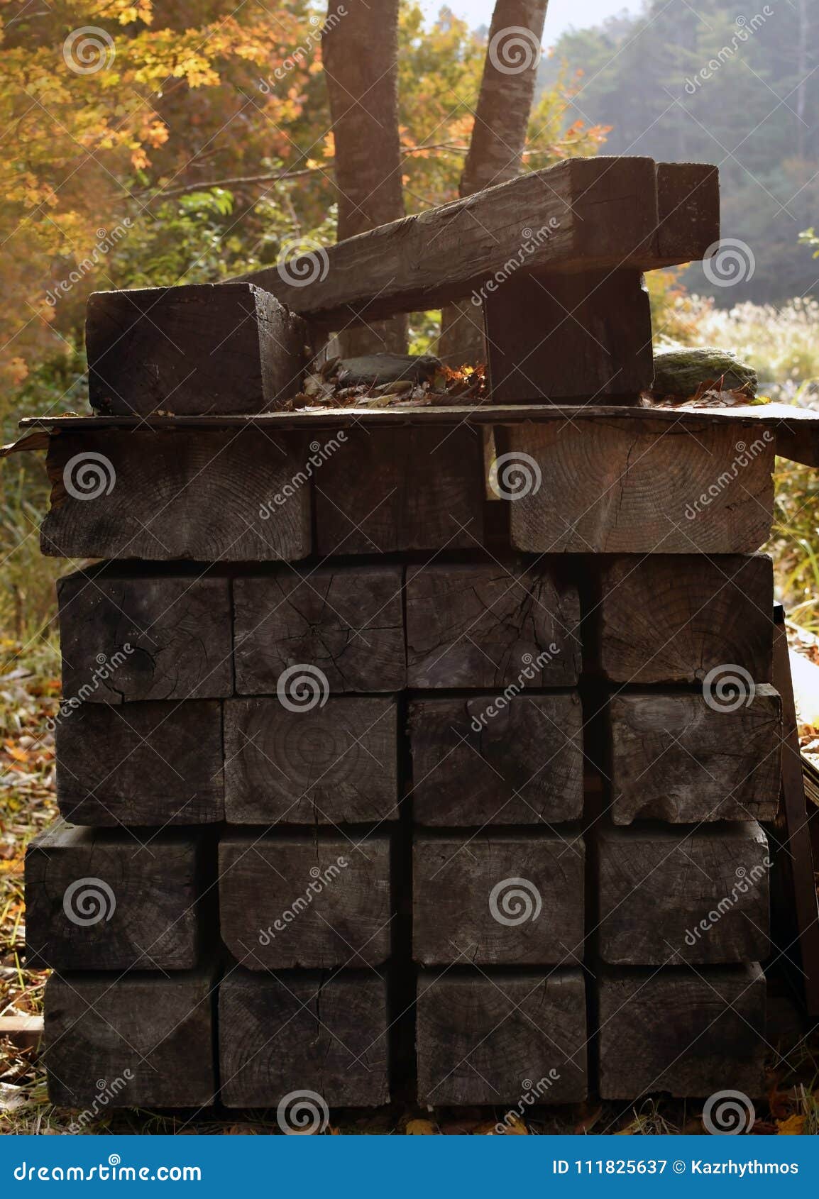 Wood fired trees in Kyoto. stock image. Image of white - 111825637