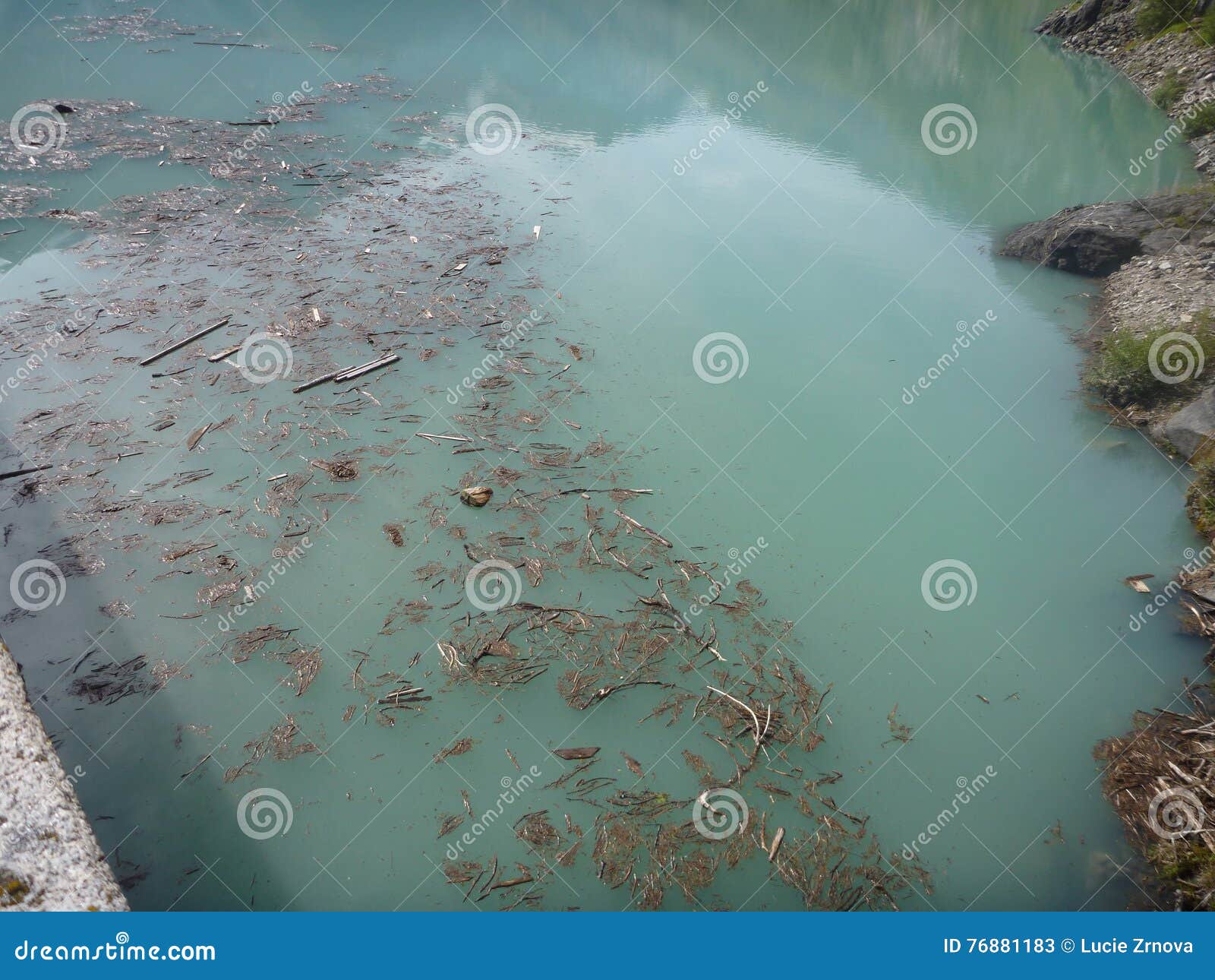 Wood Floating on a Water Level Stock Image - Image of fluid, vegetation ...