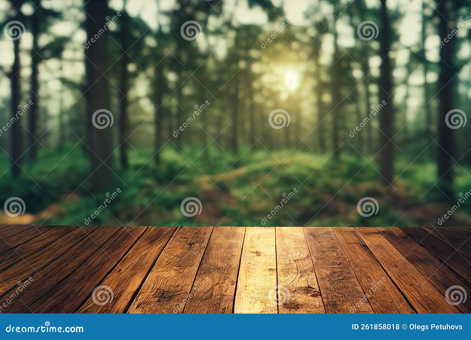 A Wood Floor with a Forest in the Background with Sunlight Shining ...