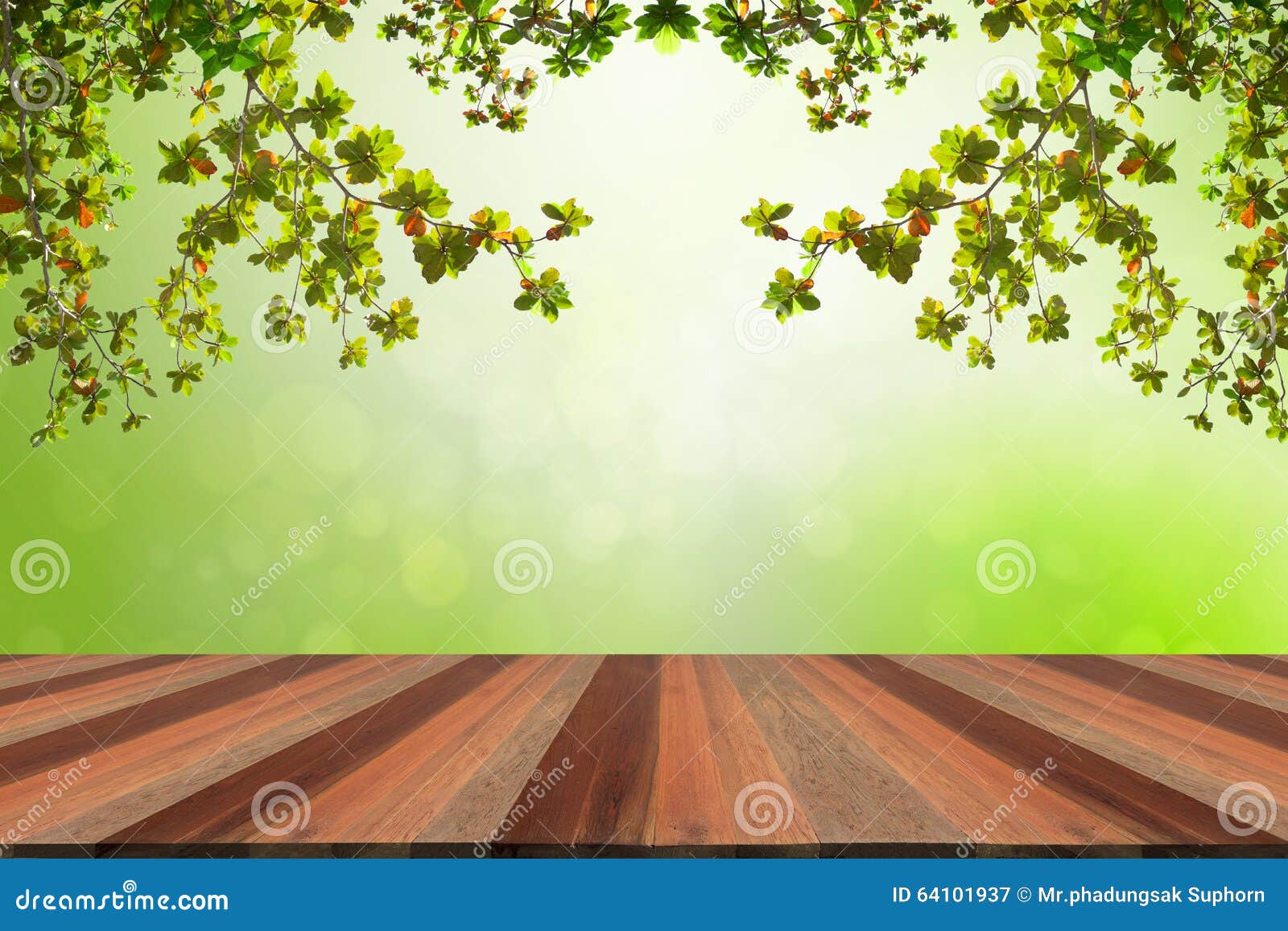 Wood Floor Spring Decoration Background Stock Image - Image of garden ...