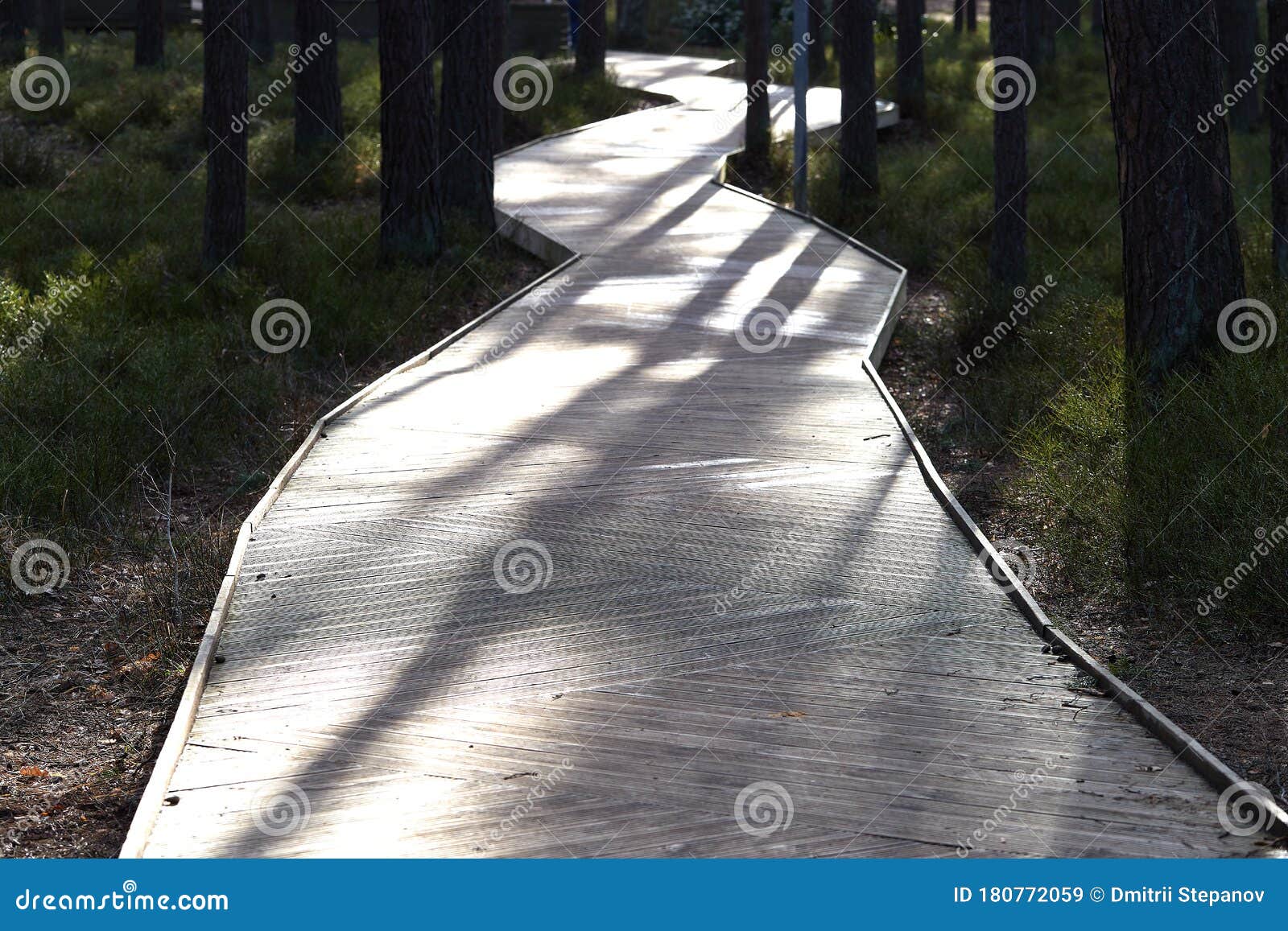 Wood Flooring Walkway in a Forest Park Stock Image - Image of cover ...