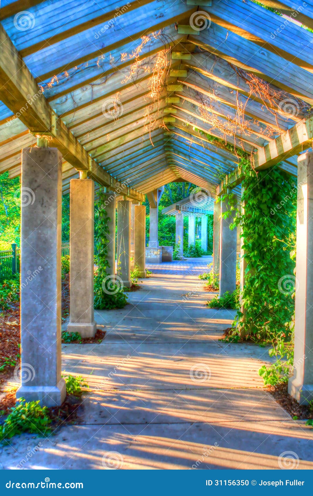 Wood Flower Trellis in hdr stock photo. Image of pillers - 31156350