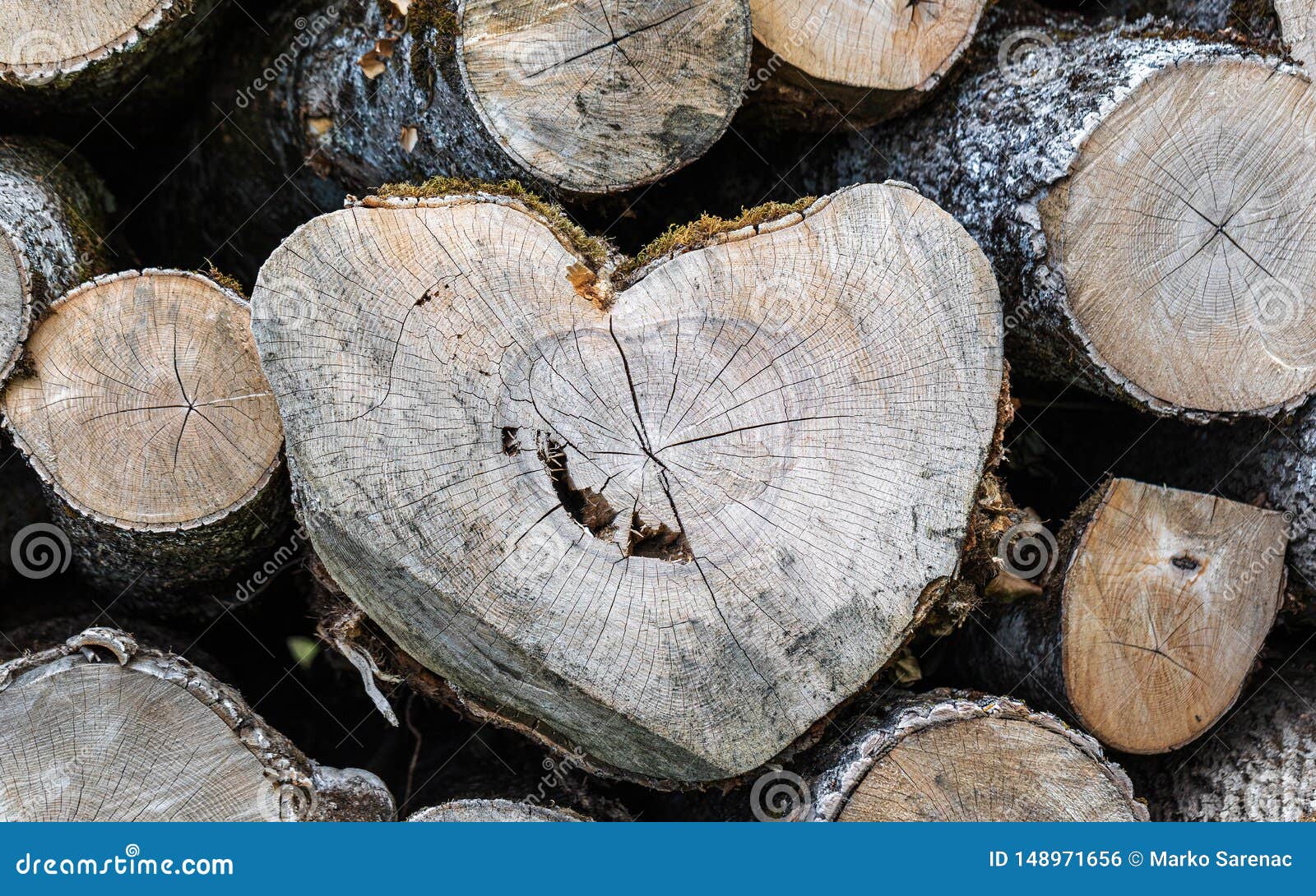 Wood. Forest. Shape. Nature. Heart Stock Photo - Image of background ...