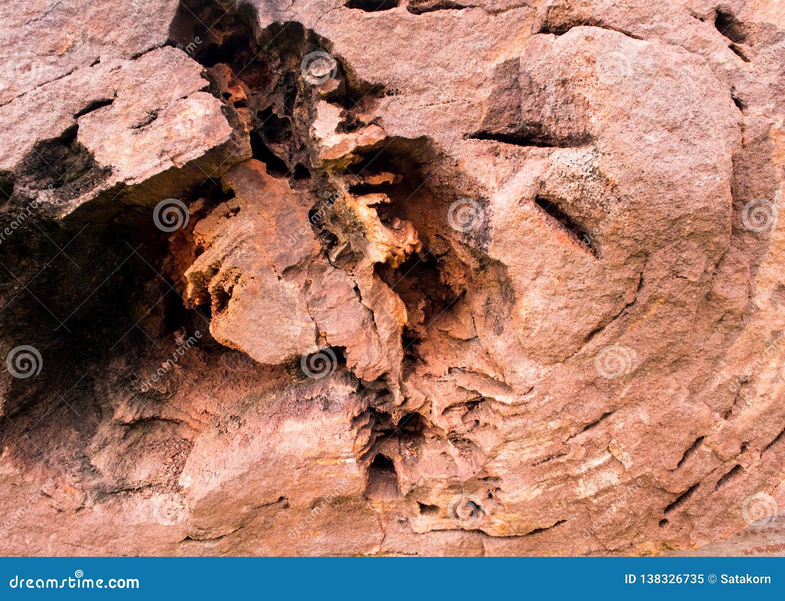 The Wood Fossil of a Large Tree in Complete Condition Stock Image ...
