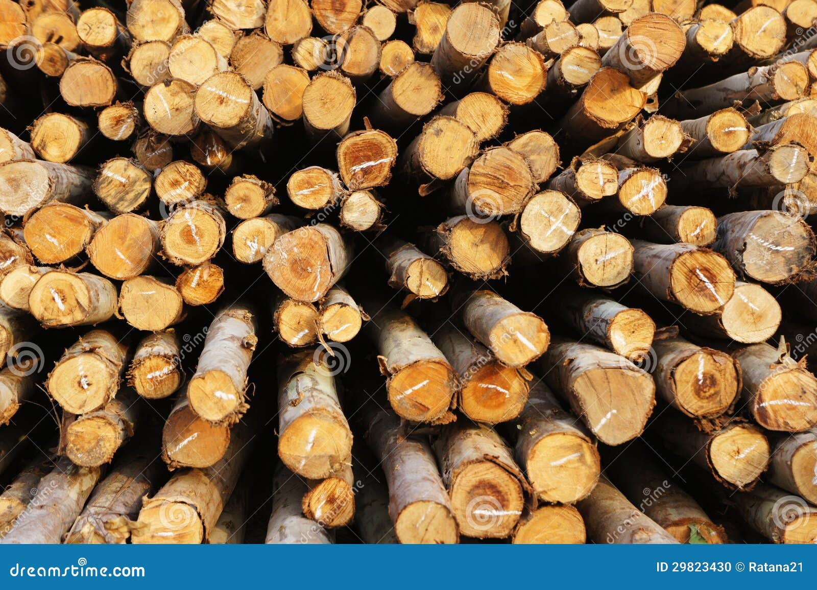 Wood for foundation pile stock photo. Image of building - 29823430