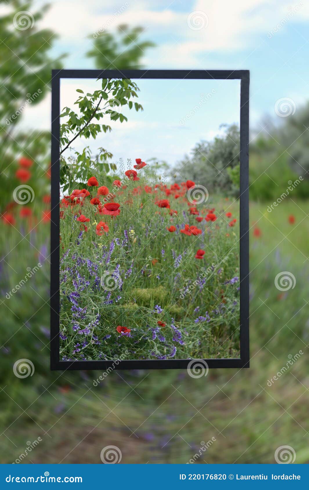 Wood Frame with Transparent Glasses on Spring Field Stock Photo - Image ...