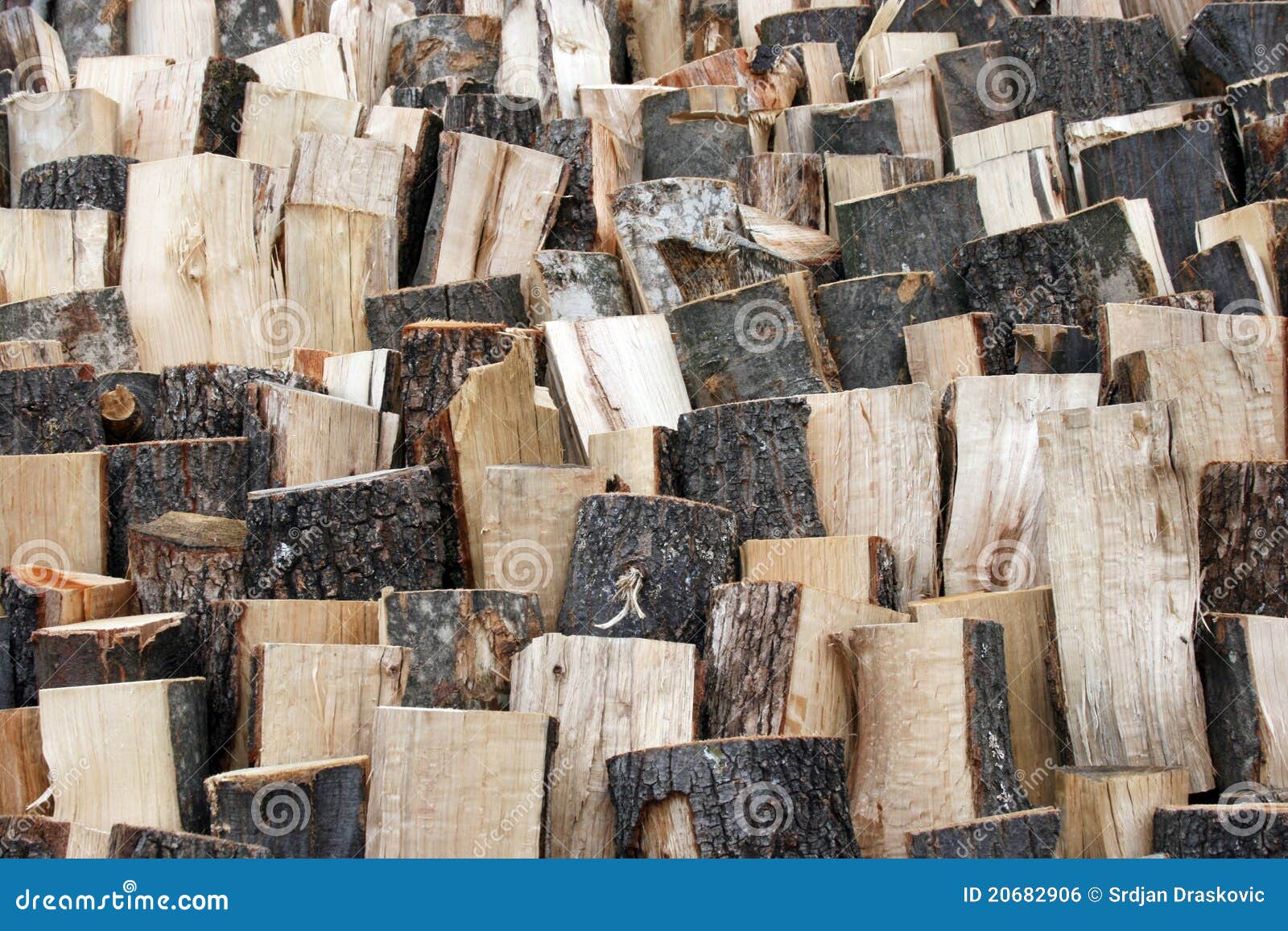 Wood fuel stock photo. Image of plant, environment, wood - 20682906