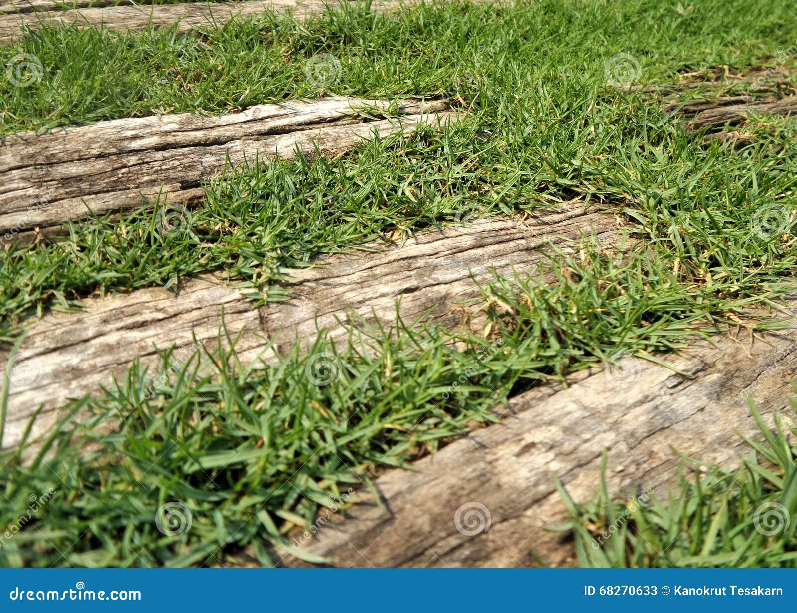 Wood Garden Path on Grass Lawn Stock Image - Image of grass, garden ...