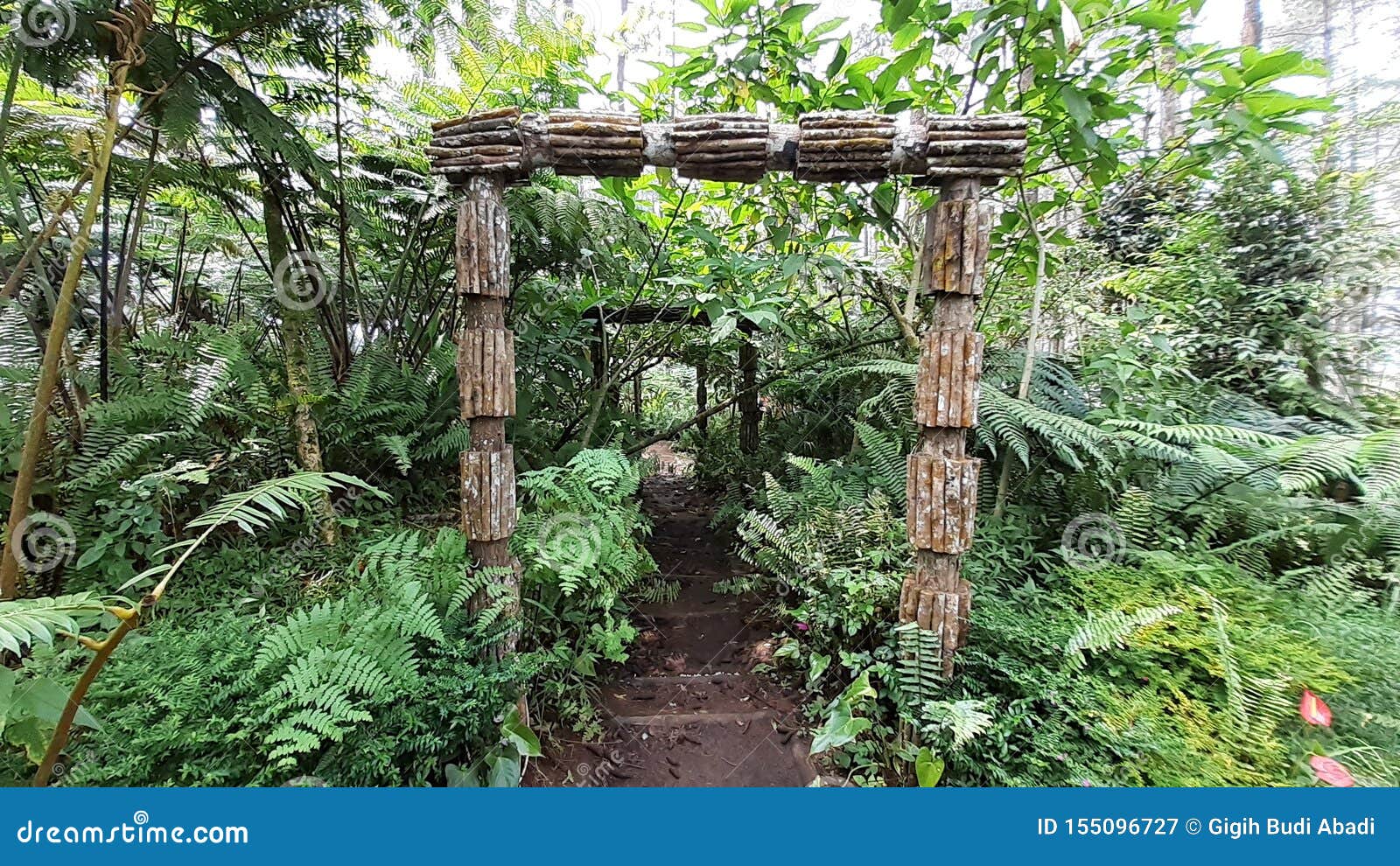 Wood gate in the forest stock image. Image of wood, tropical - 155096727