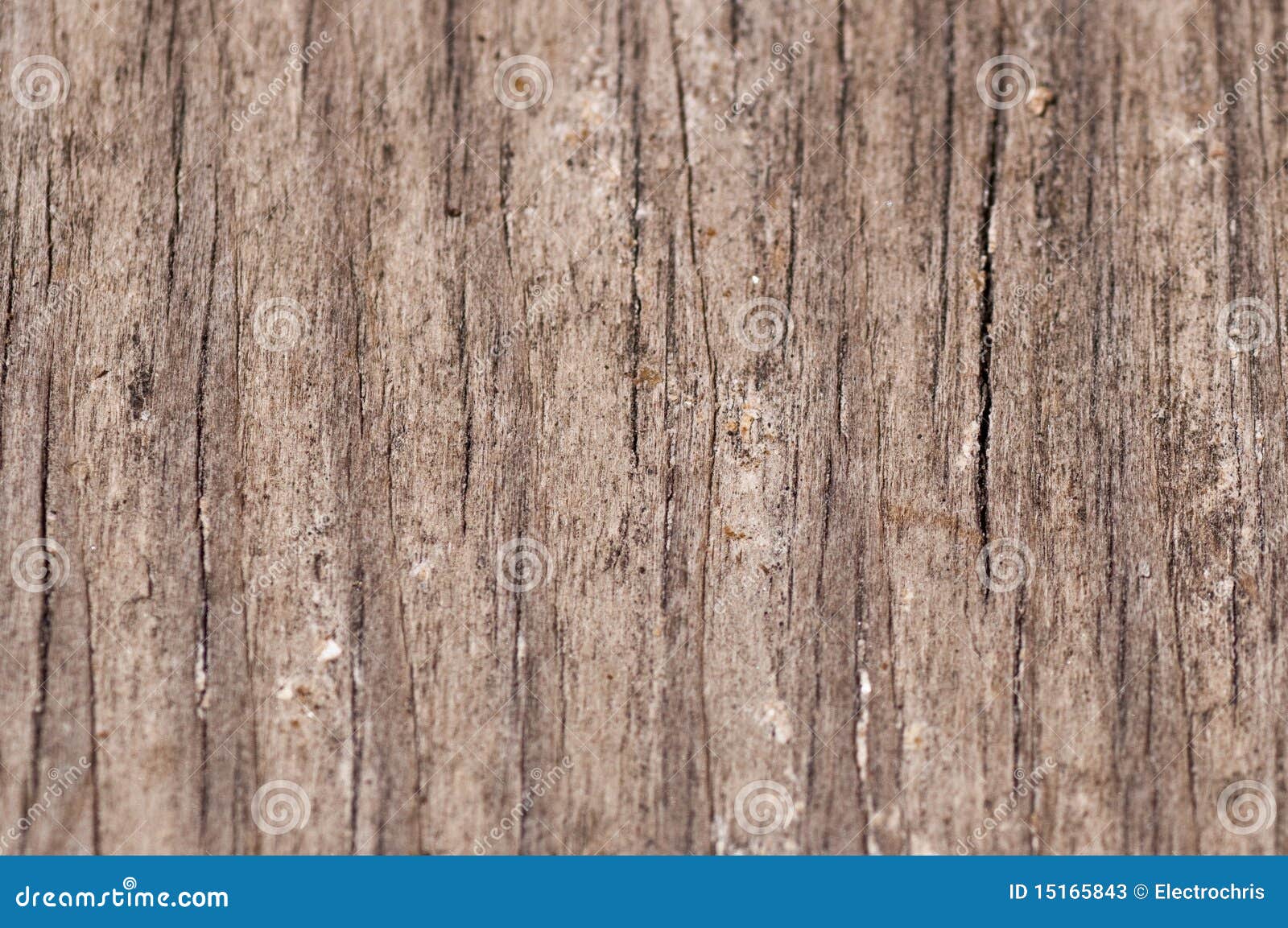 Wood Grain stock image. Image of pine, tree, layer, macro - 15165843