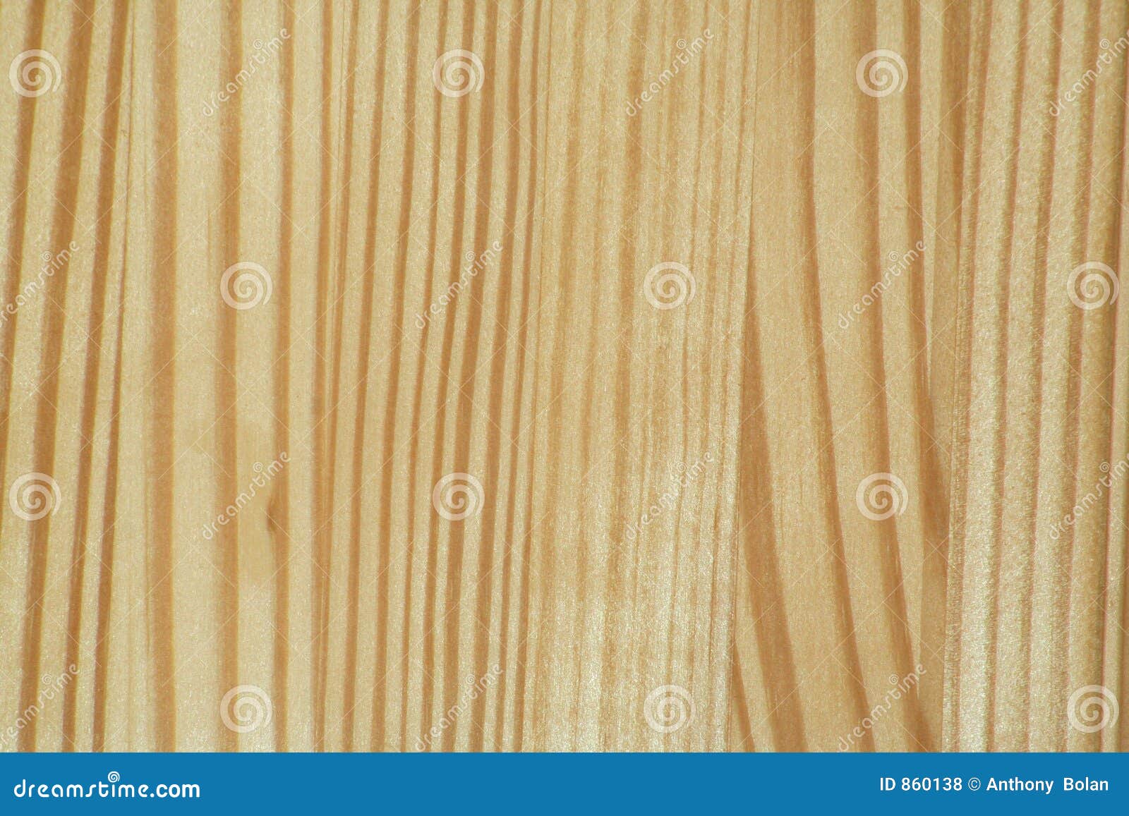 Wood Grain 2 stock photo. Image of grain, wood, background - 860138