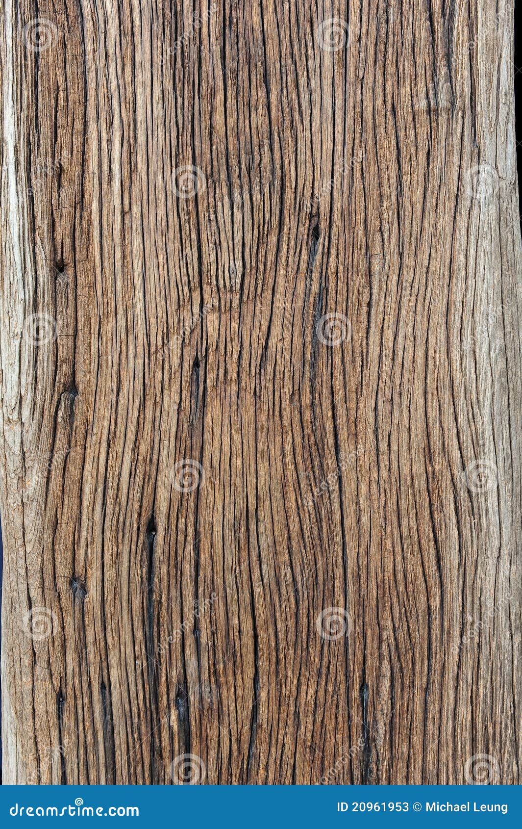 Wood Grain stock image. Image of tree, wood, plank, pillar - 20961953
