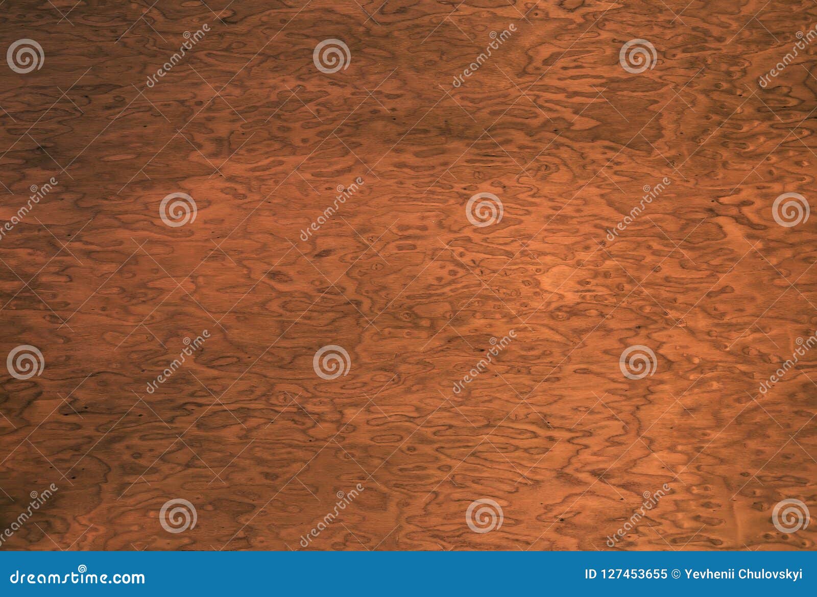 Wood Grain Background. Decorative Veneer. Walnut Root. Stock ...