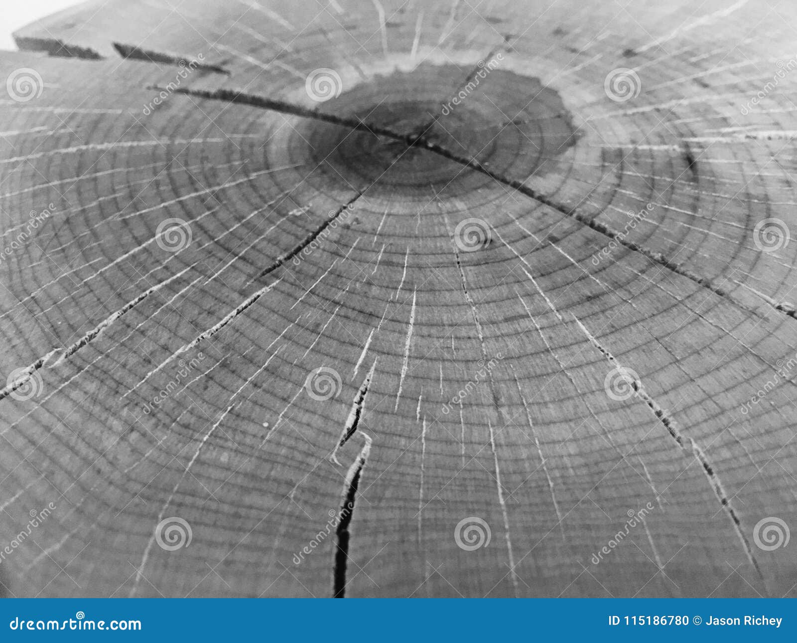 Wood grain stock photo. Image of patern, block, grain - 115186780