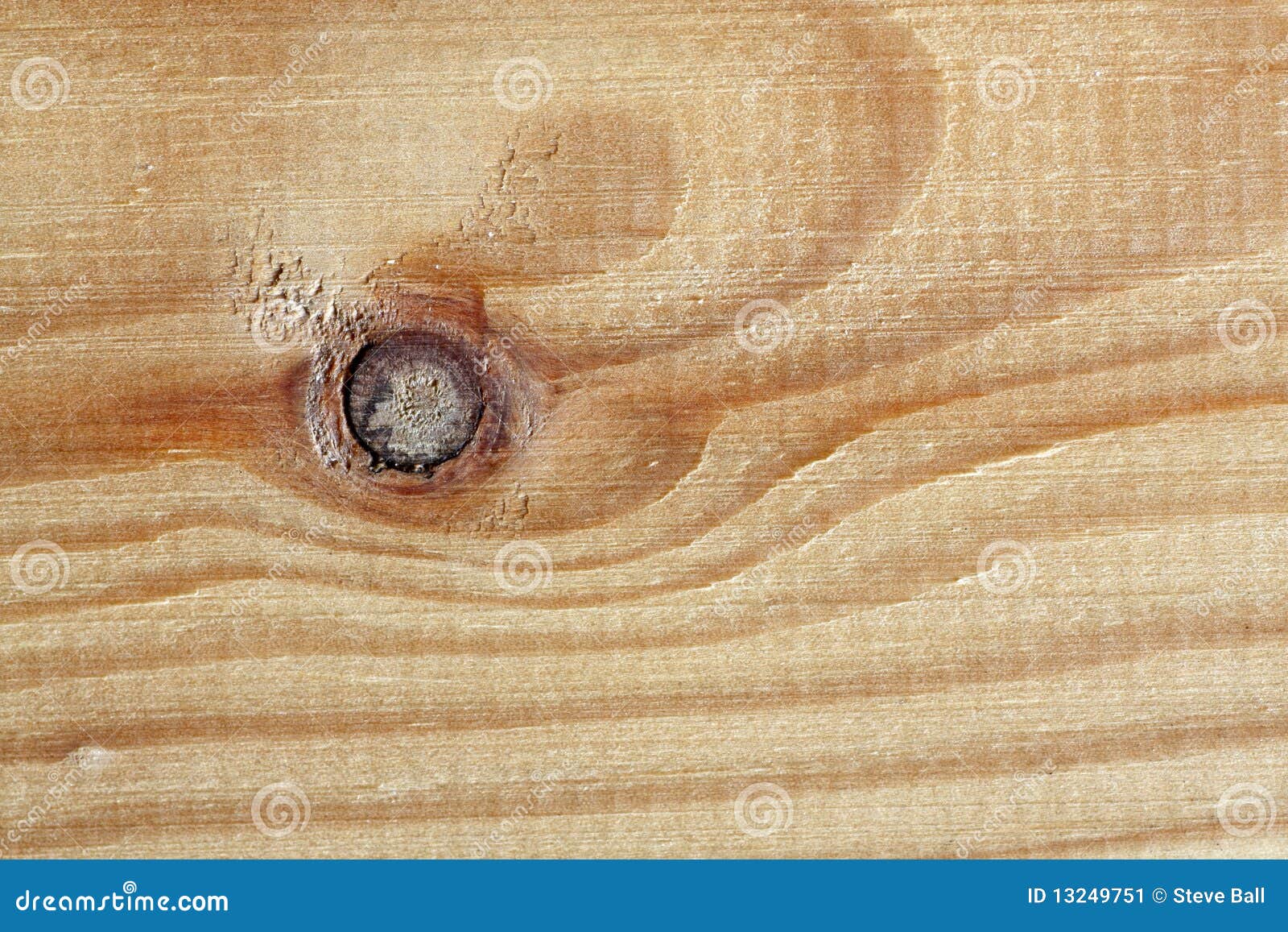 Wood Grain Close Up Texture Stock Image - Image of texture, woodgrain ...