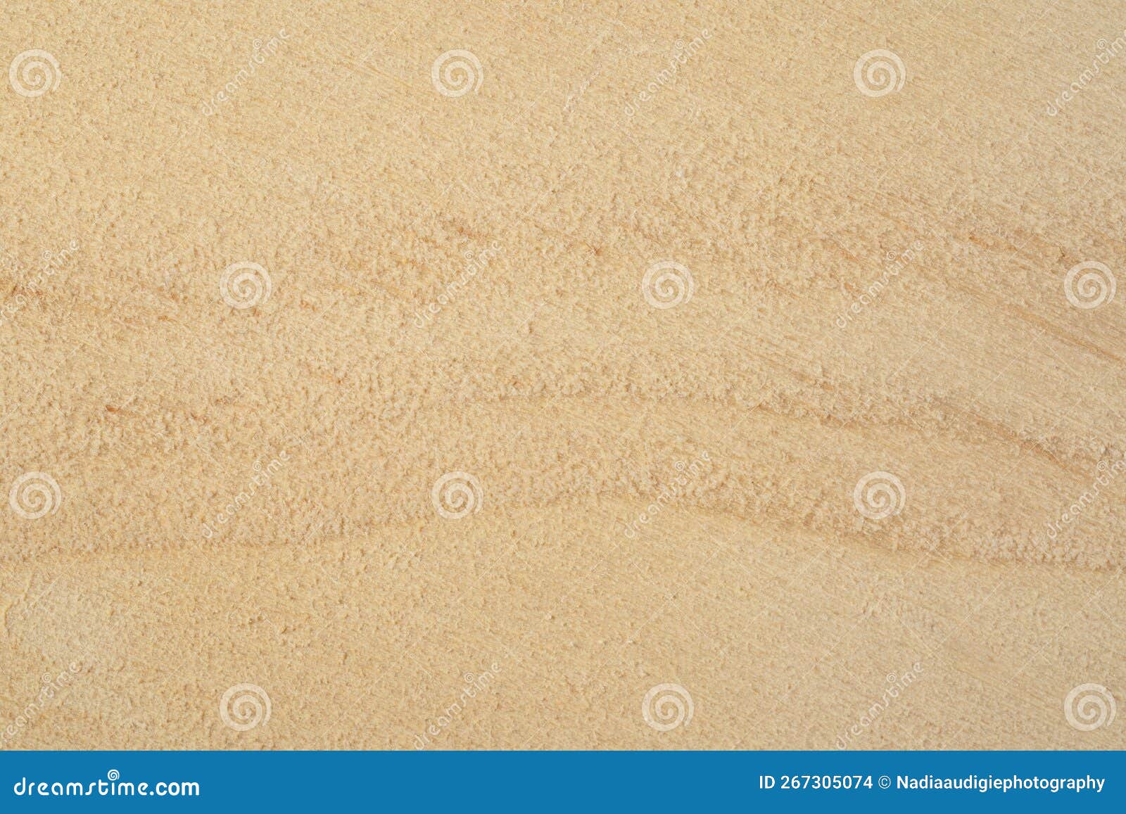 Wood grain cut texture stock photo. Image of grain, background - 267305074