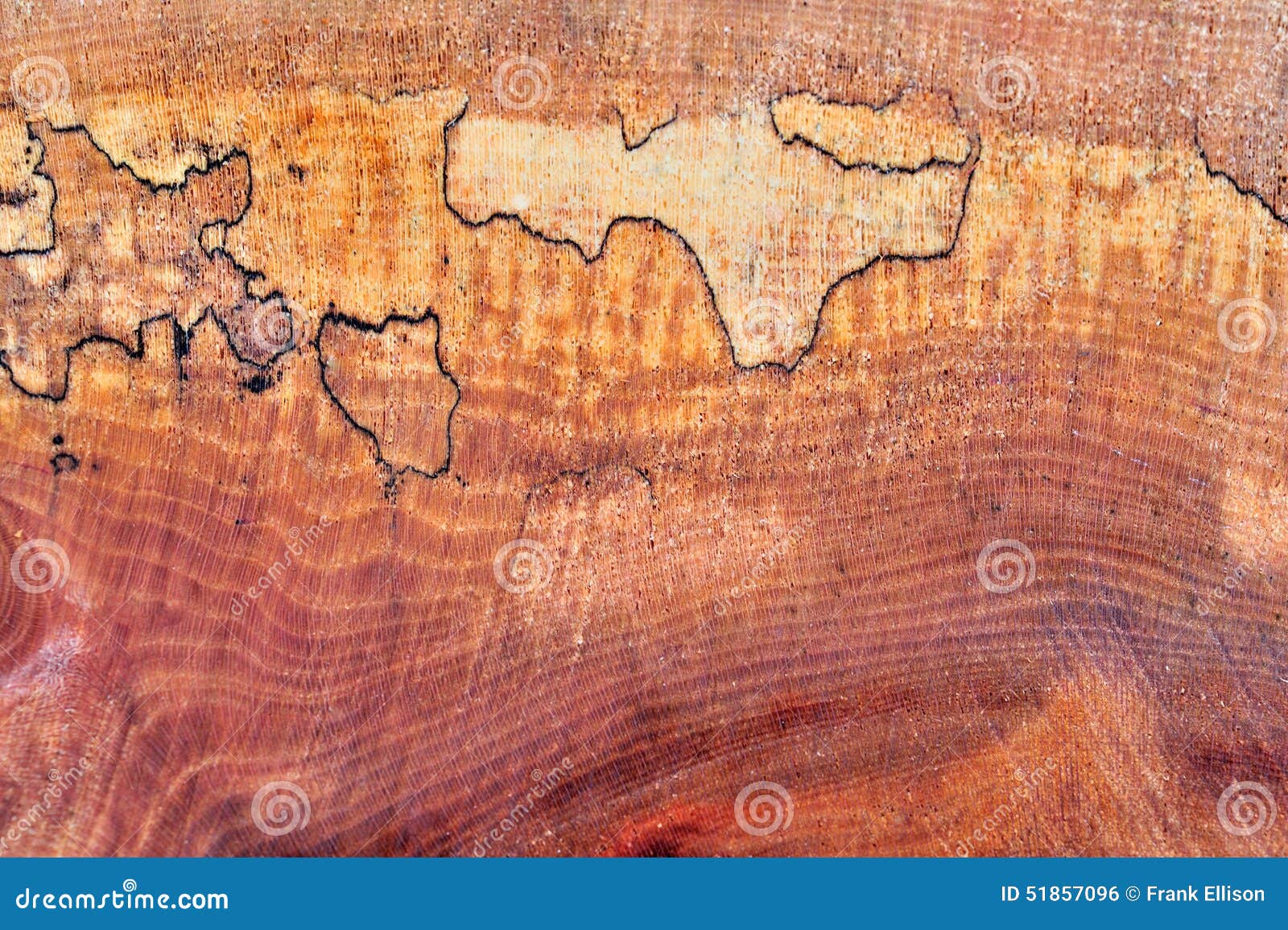 Wood Grain stock photo. Image of grain, lines, brown - 51857096