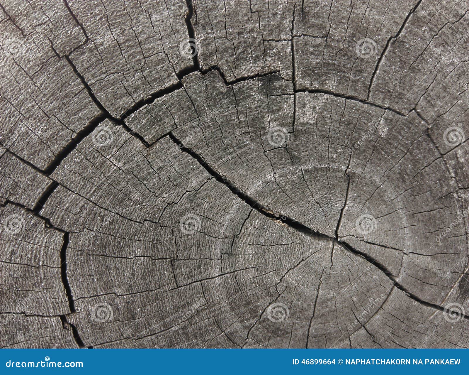 Wood grain stock photo. Image of textured, backgrounds - 46899664