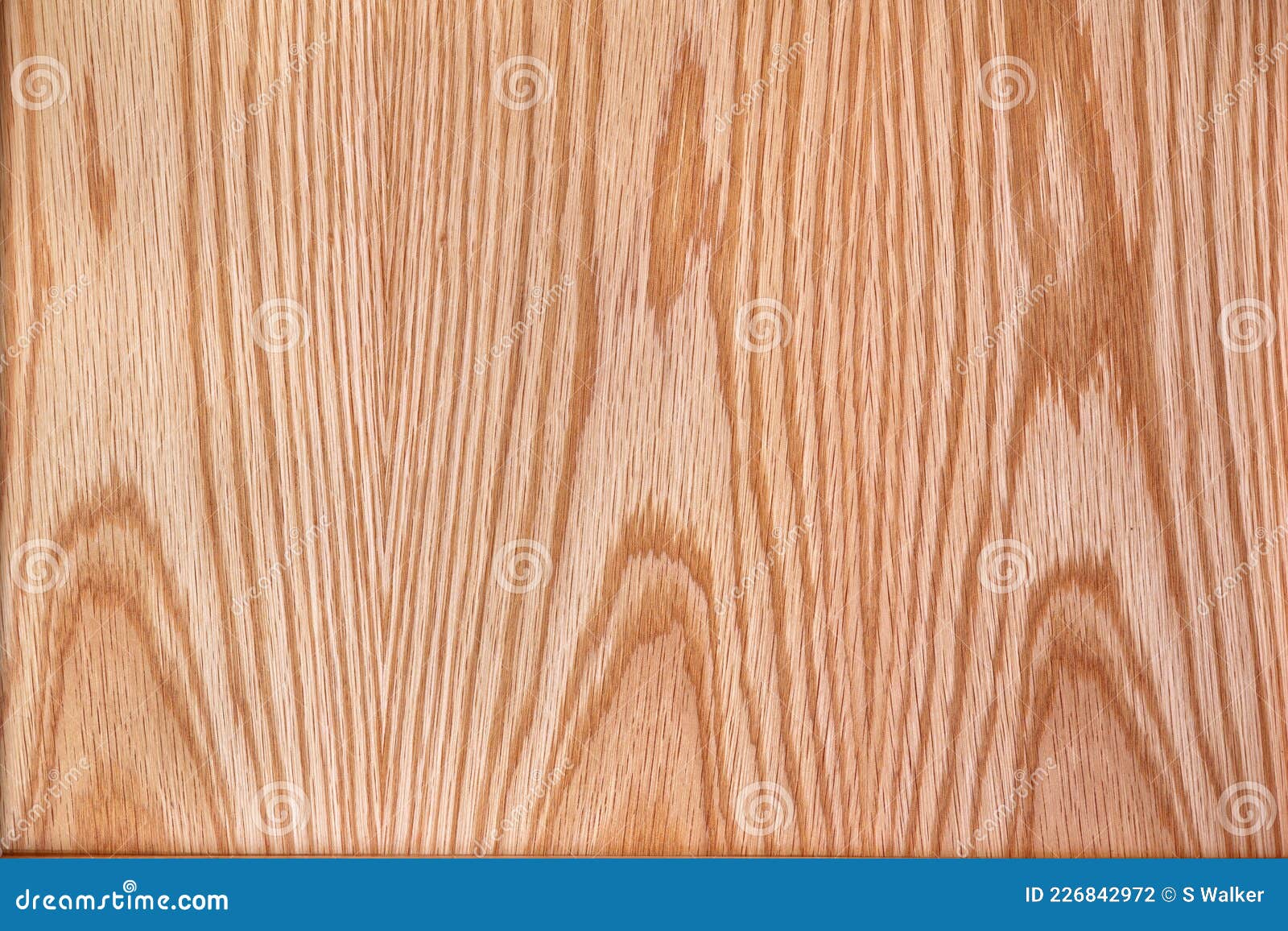 Wood Grain in Oak Panel, Background. Stock Photo - Image of panelling ...