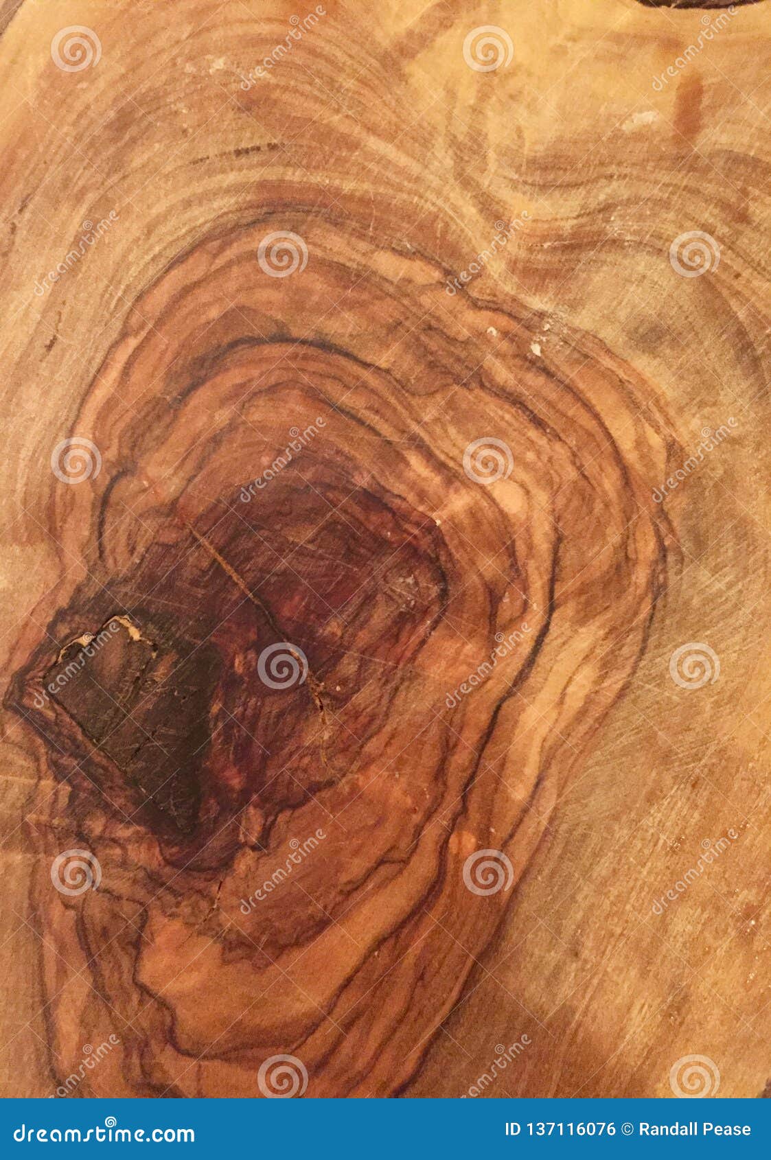 Wood grain stock photo. Image of wood, maple, striation - 137116076