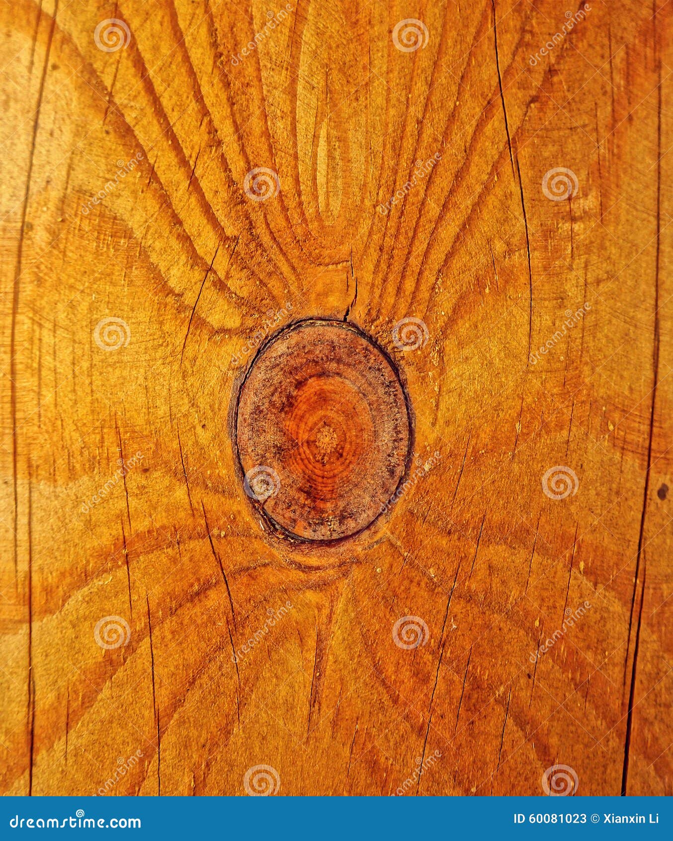 Wood grain stock image. Image of time, circular, solid - 60081023
