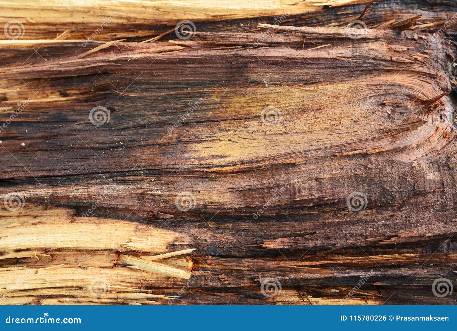 Wood grain surface stock photo. Image of structure, pine - 115780226