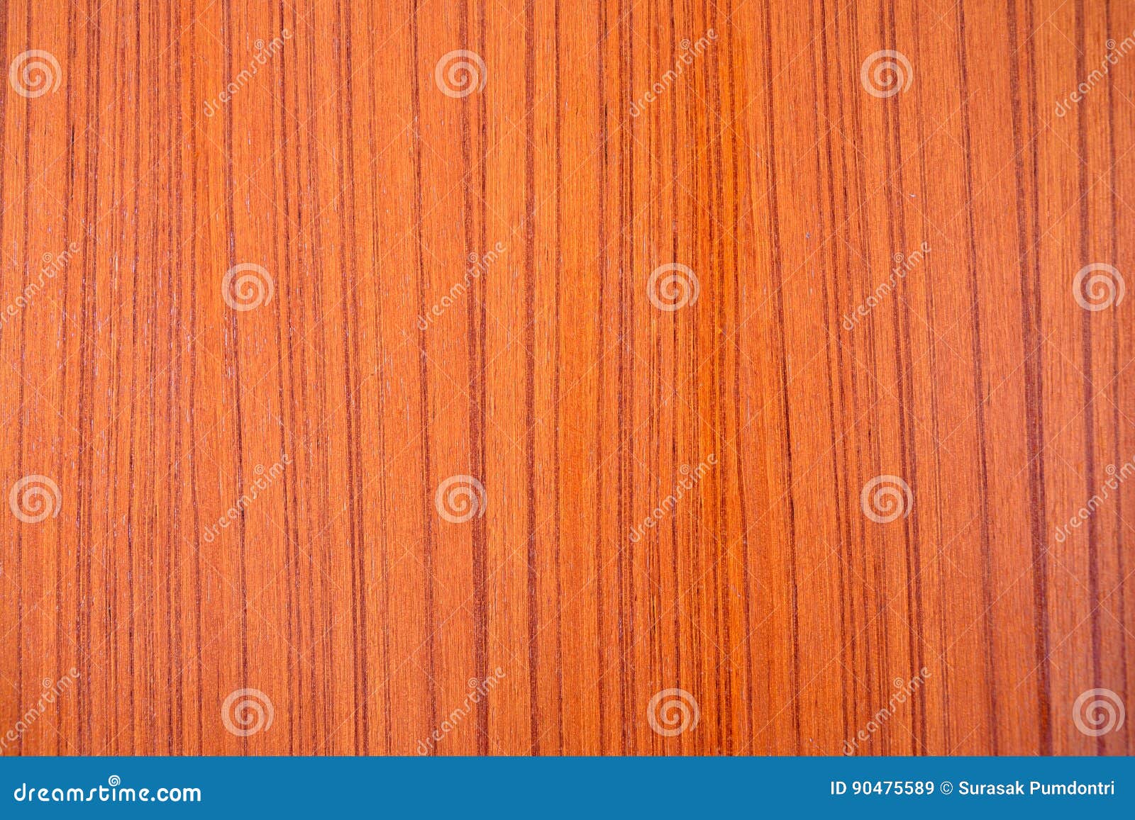 Wood Grain Texture Background Stock Image - Image of feature, material ...