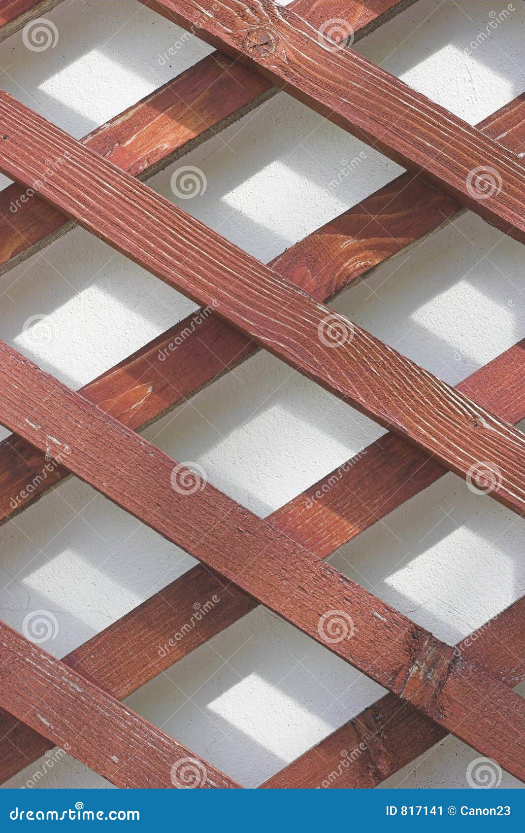 Wood grid stock image. Image of blooming, growth, light - 817141
