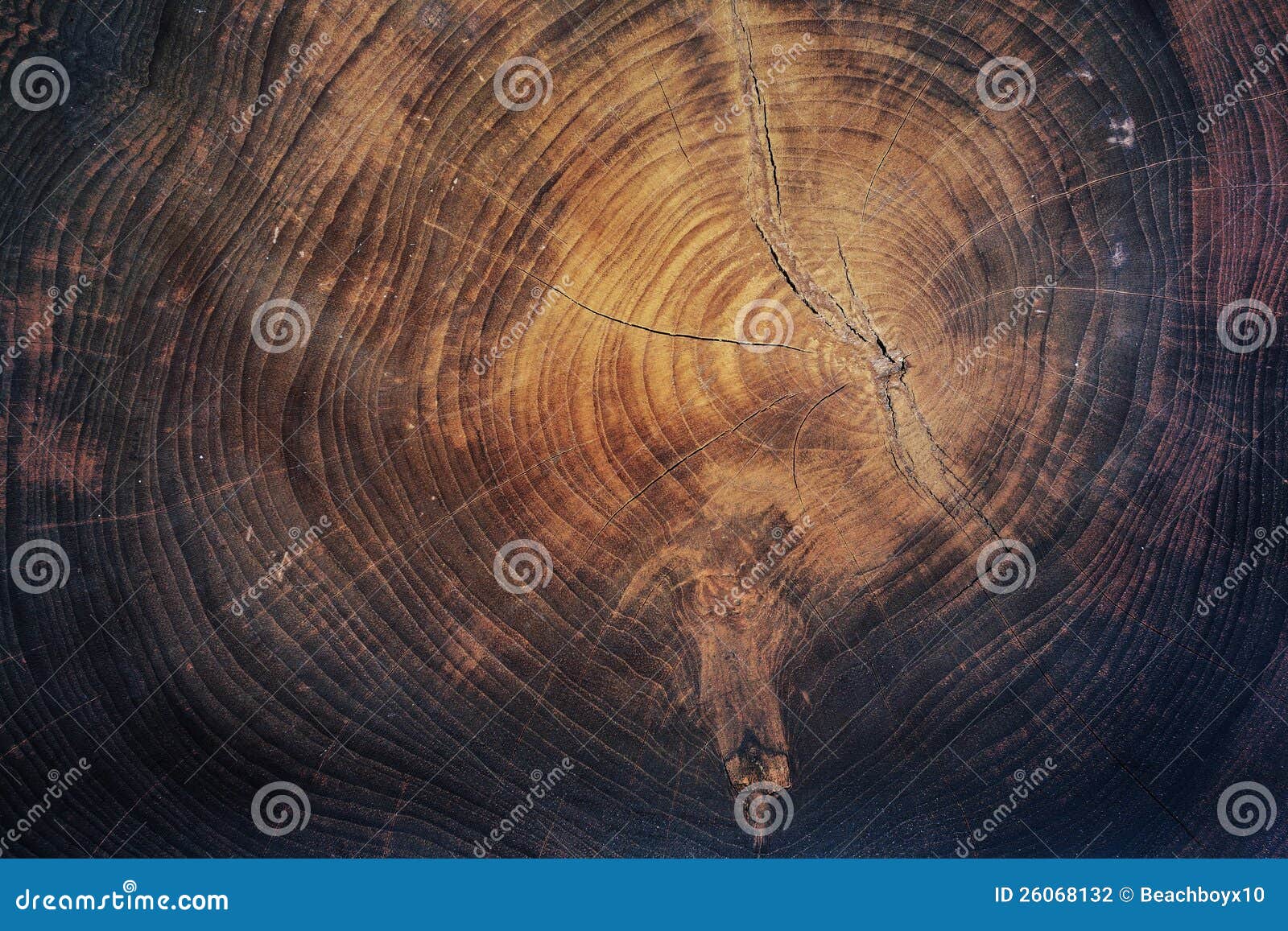 Wood half cut background stock photo. Image of circle - 26068132
