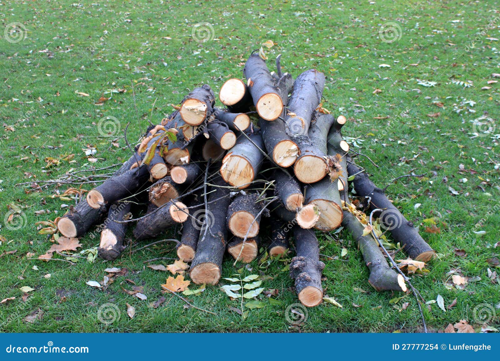Wood heap on grass stock photo. Image of group, countryside - 27777254