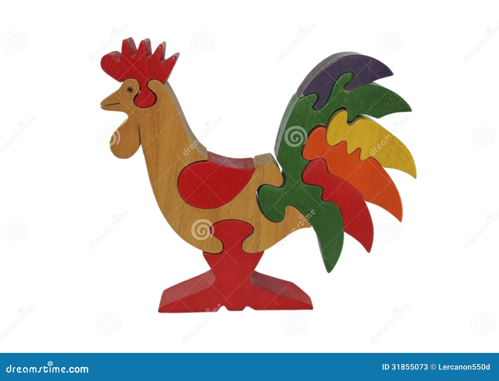 Wood hen isolated stock image. Image of animal, color - 31855073