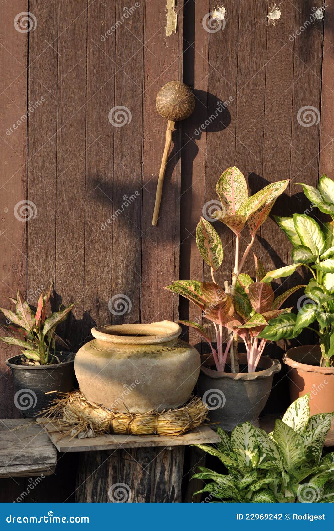 Wood Home Object Jar Dipper Stock Photo - Image of texture, object ...