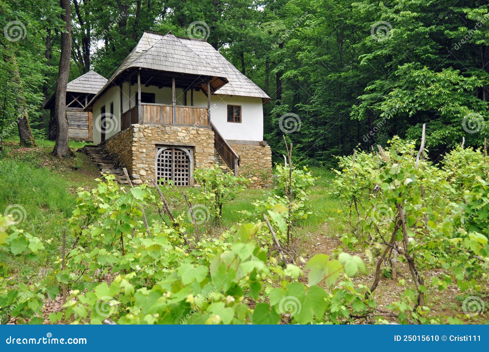 Wood homestead forest stock photo. Image of fruit, cottage - 25015610