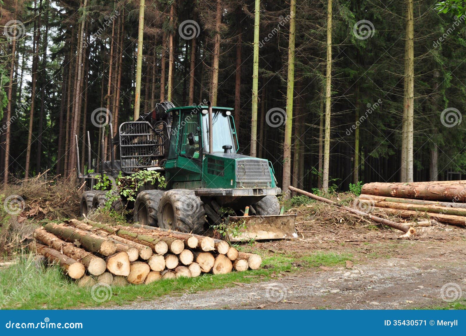 Tractor Transporter, Forest Machine Stock Image - Image of logging ...