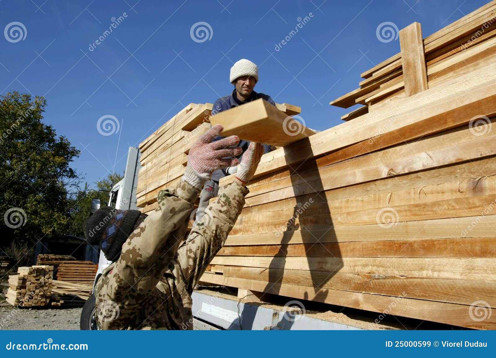 Wood industry workers editorial stock image. Image of piles - 25000599