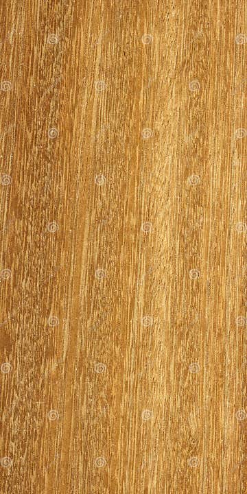 Wood iroko stock image. Image of tree, construction, texture - 3409287