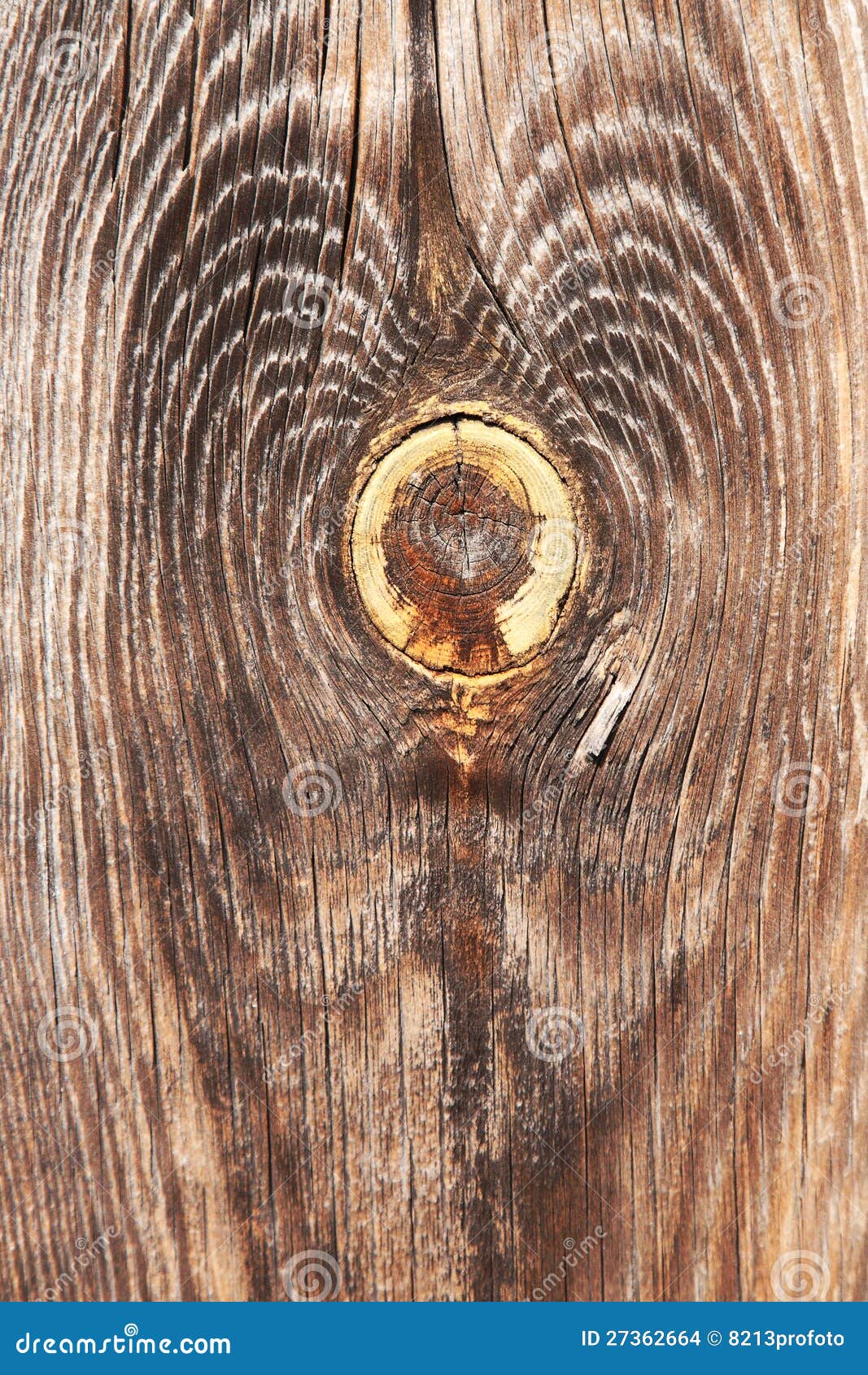 Wood knot stock photo. Image of exterior, abstract, panel - 27362664