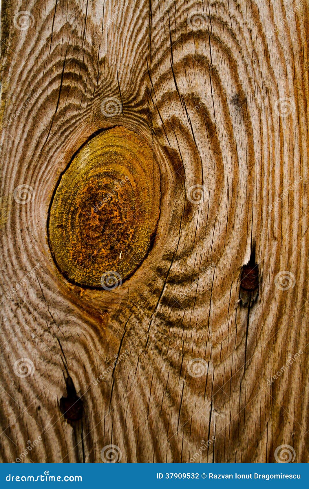 Knot Texture Royalty-Free Stock Photography | CartoonDealer.com #38158445