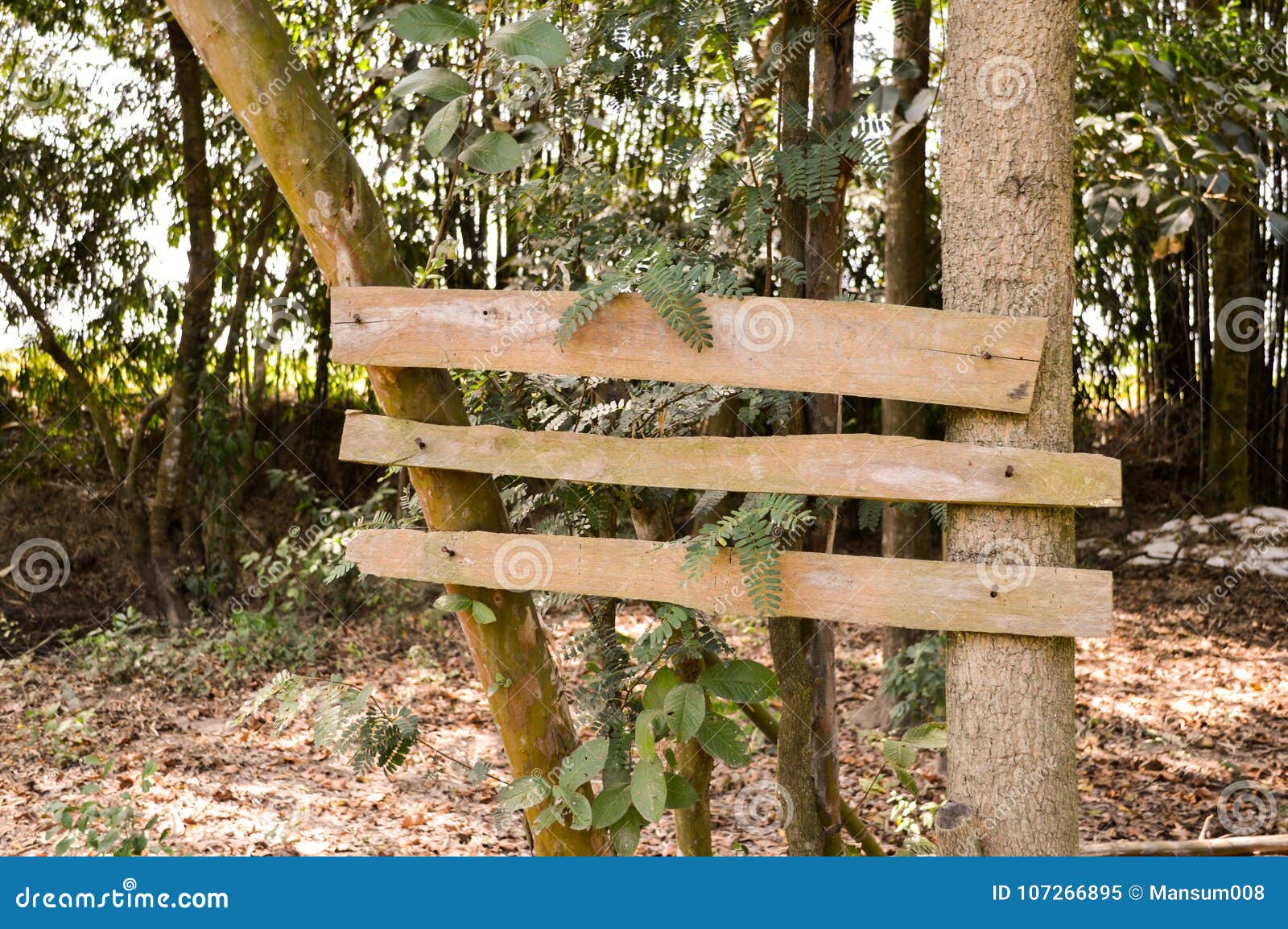 Wood label on bark tree stock image. Image of space - 107266895