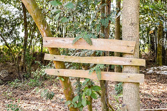 Wood label on bark tree stock image. Image of wooden - 112313213